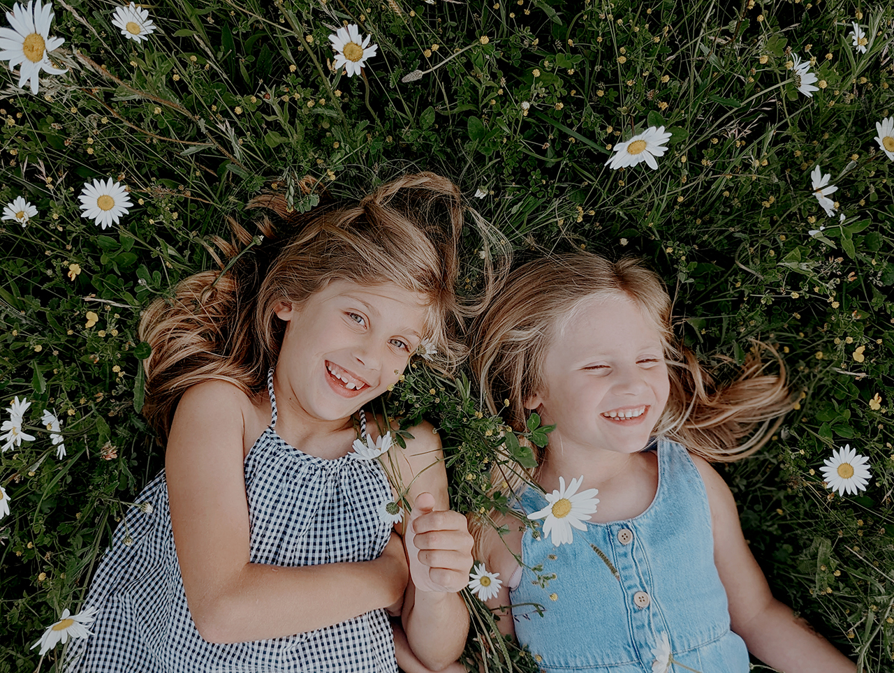 Daisy Mini Sessions | Laura Beth Photography
